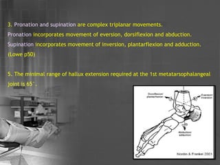 Foot biomechanics | PPT