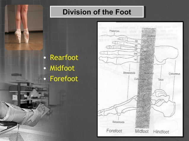 Foot biomechanics | PPT