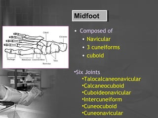 Foot biomechanics | PPT