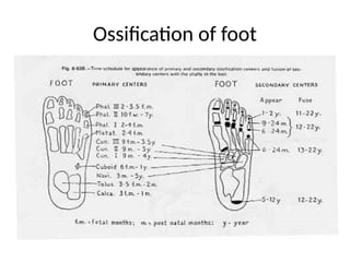 Types of Foot Deformities among human being | PPTX
