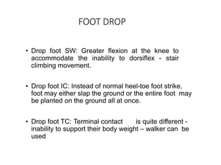 Footdrop | PPT