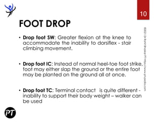 Foot Drop: Causes, Symptoms, and Treatment - Dr Rohit Bhaskar | PDF