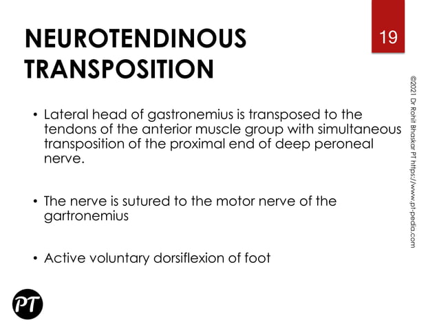 Foot Drop: Causes, Symptoms, and Treatment - Dr Rohit Bhaskar | PDF