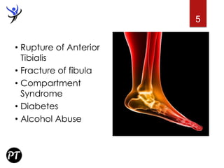 Foot Drop: Causes, Symptoms, and Treatment - Dr Rohit Bhaskar | PDF