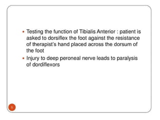 An approach to Foot drop | PPT