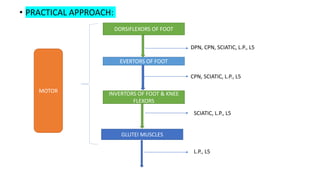 Approach to foot drop | PPTX