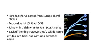 FOOT DROP AND ITS MANAGEMENT orthopedics | PPTX