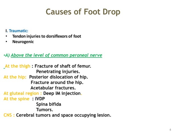 Foot drop | PPTX | Death, Injury, or Military Conflict | Sensitive Topics