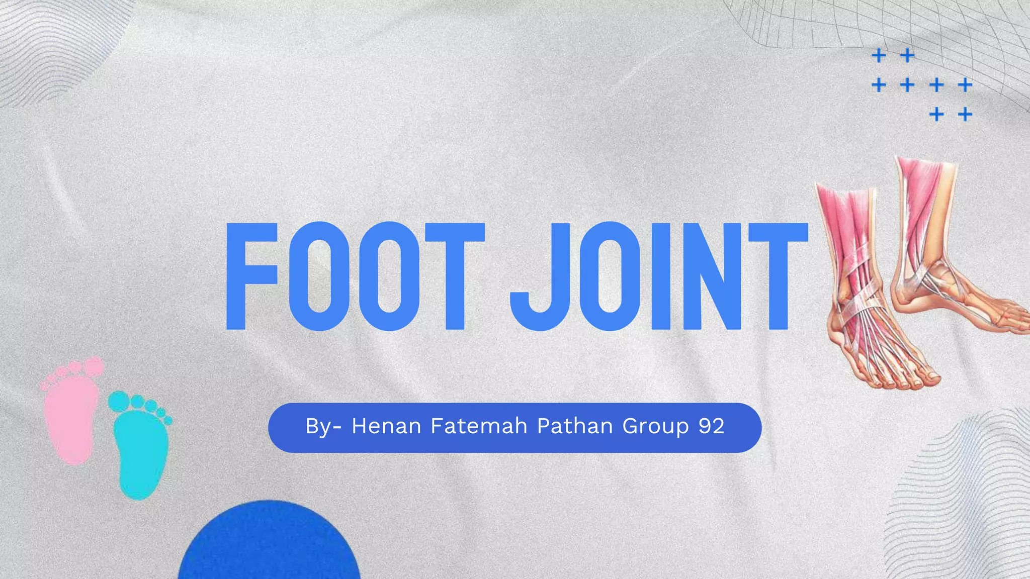 Foot Joint | PPT