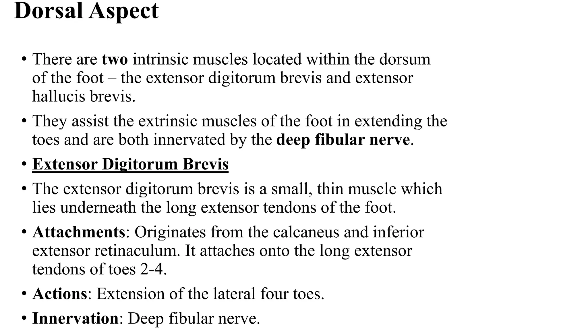 foot layers muscles blood and nerve supply.pptx