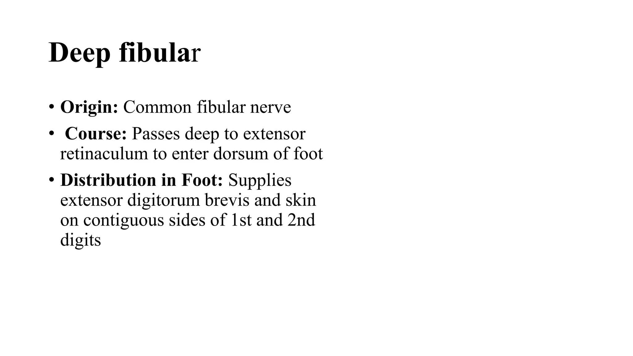 foot layers muscles blood and nerve supply.pptx
