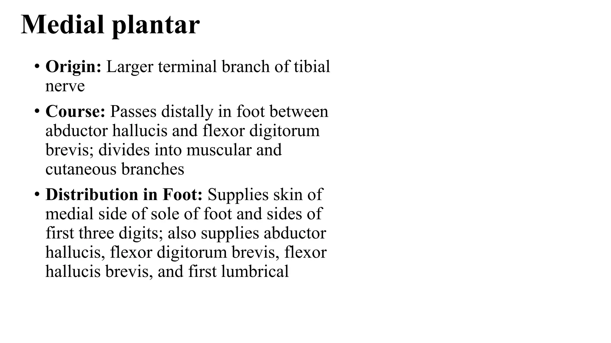 foot layers muscles blood and nerve supply.pptx