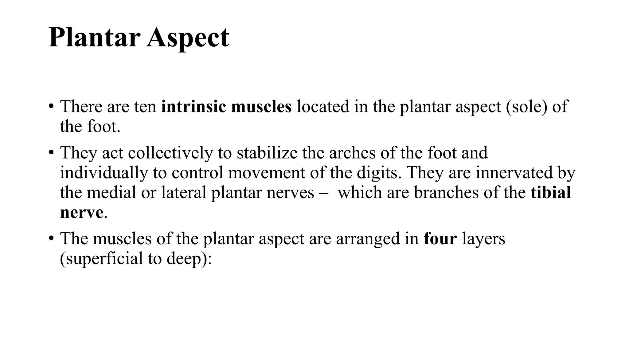 foot layers muscles blood and nerve supply.pptx