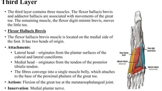 foot layers muscles blood and nerve supply.pptx