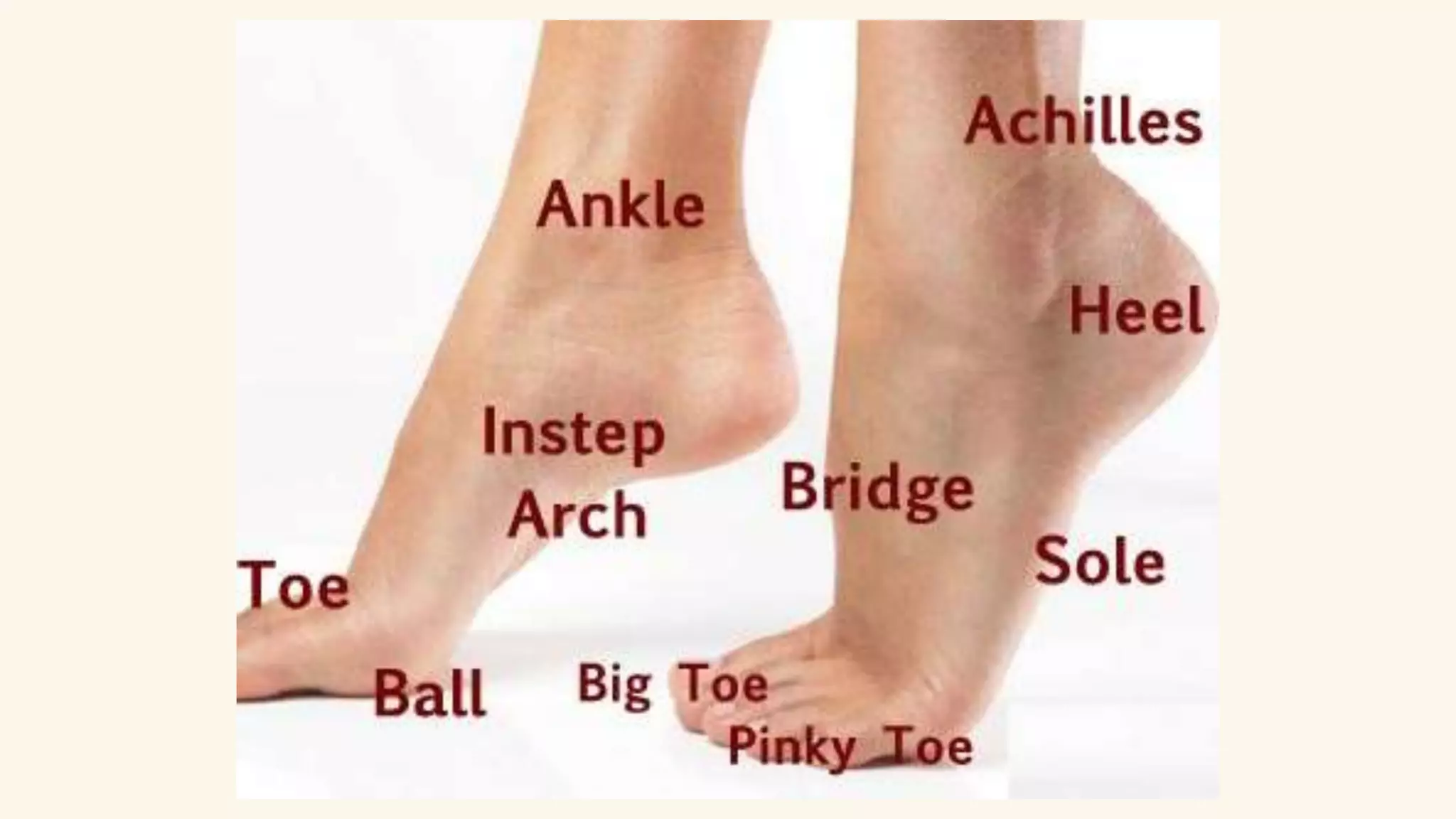FOOT MASSAGE TECHNIQUES.pptx