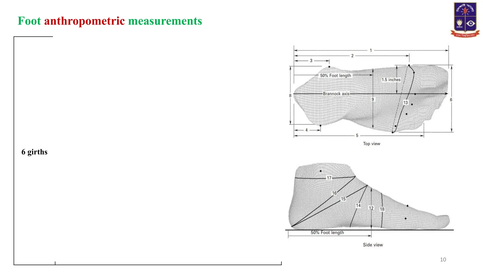 Human Foot Measurement-Foot Measurement.pptx