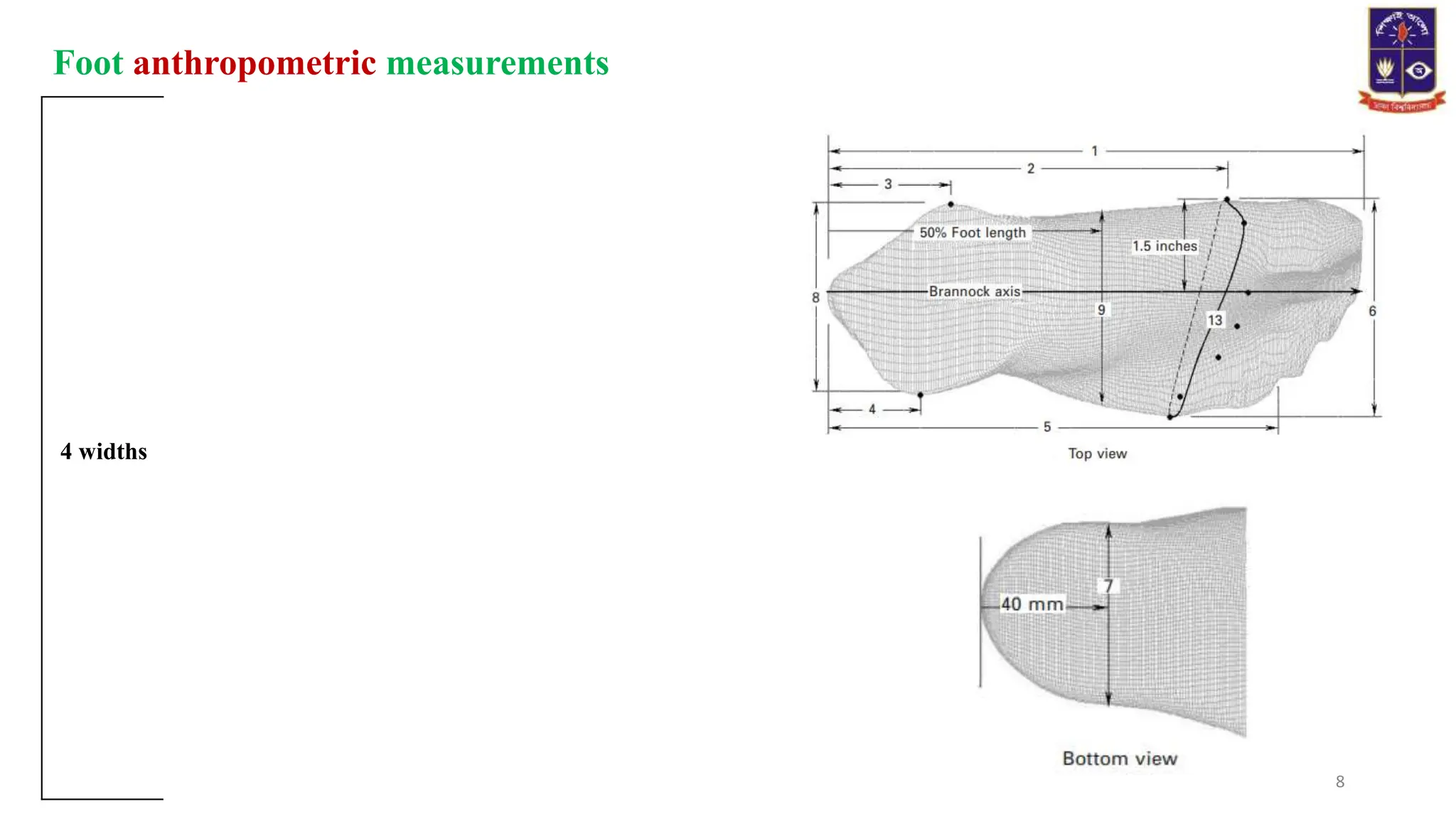 Human Foot Measurement-Foot Measurement.pptx