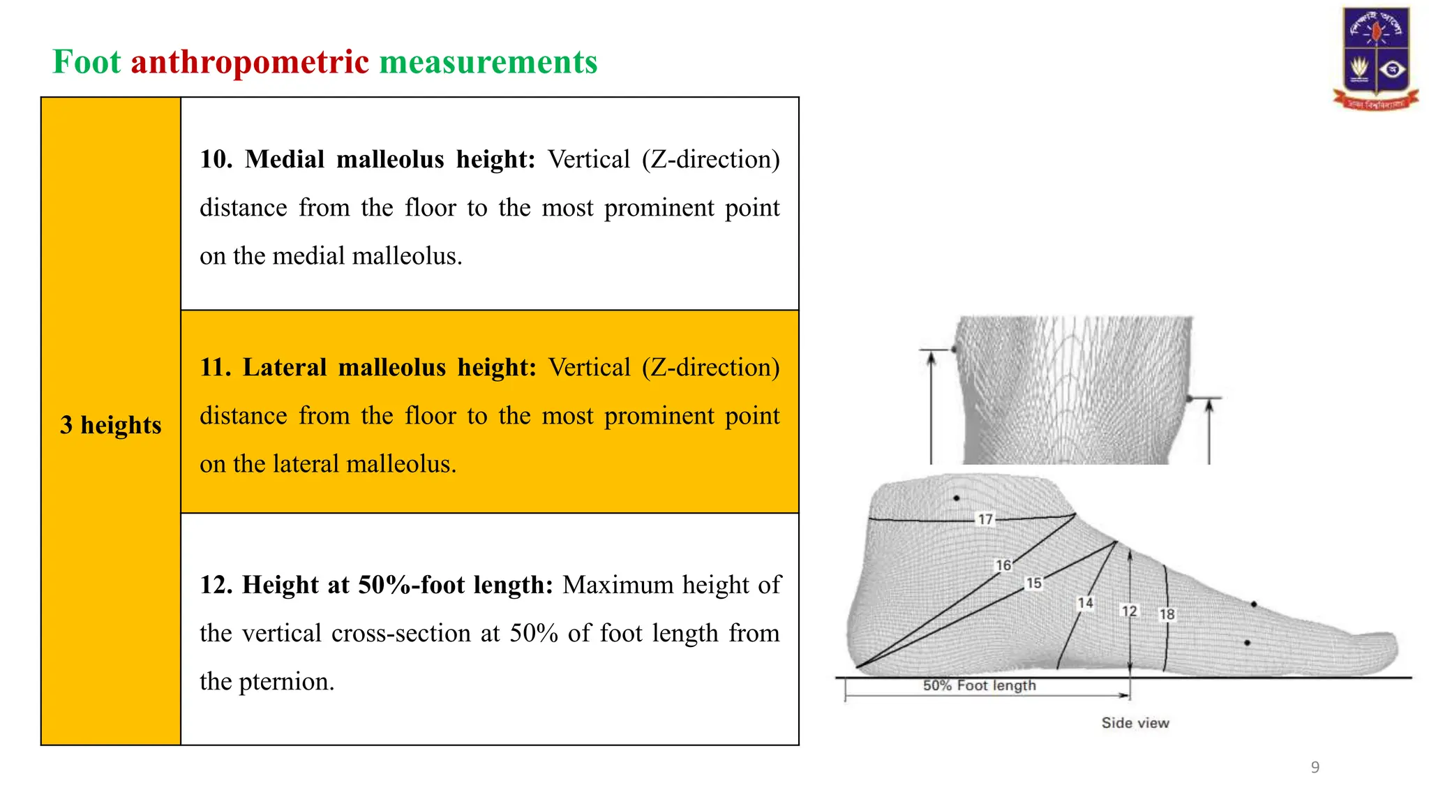 Human Foot Measurement-Foot Measurement.pptx