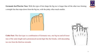 Human Foot Measurement-Foot Measurement.pptx | Death, Injury, or ...