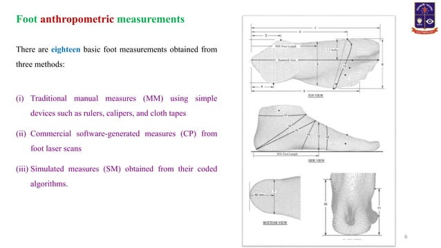 Human Foot Measurement-Foot Measurement.pptx