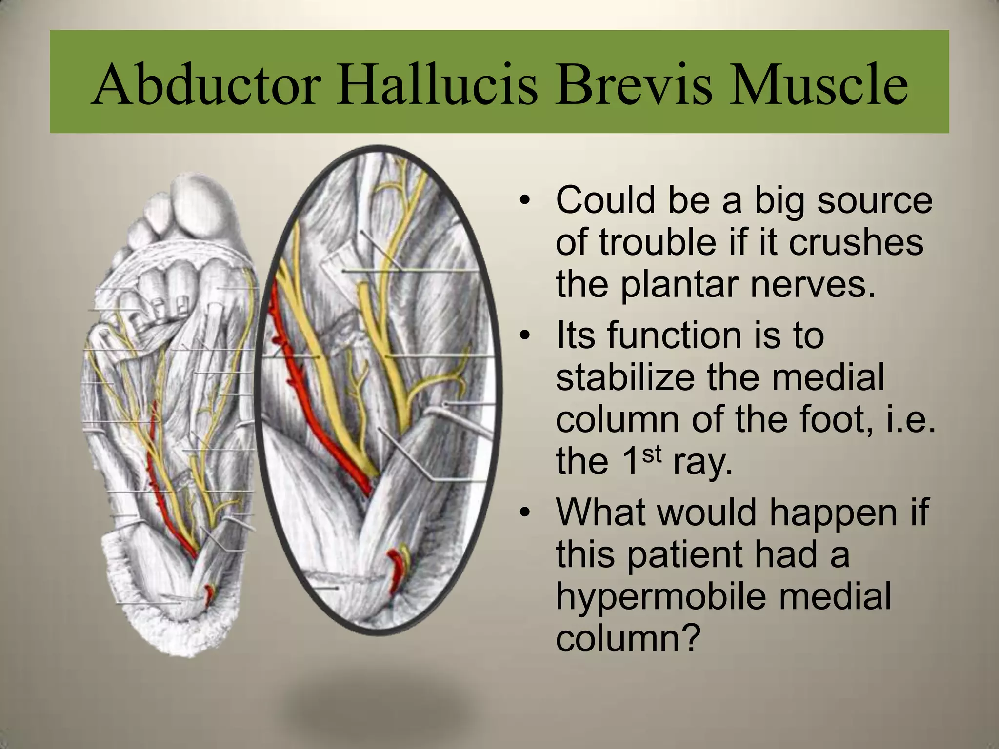 Peripheral Nerve Compression - Neuropathy | PPT