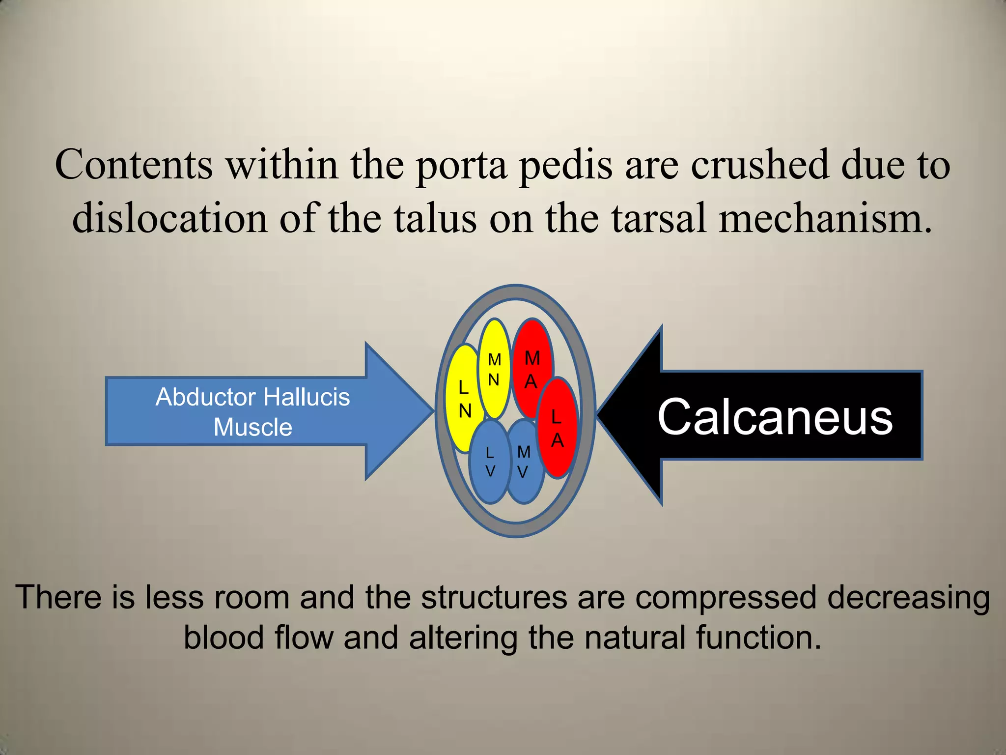 Peripheral Nerve Compression - Neuropathy | PPT
