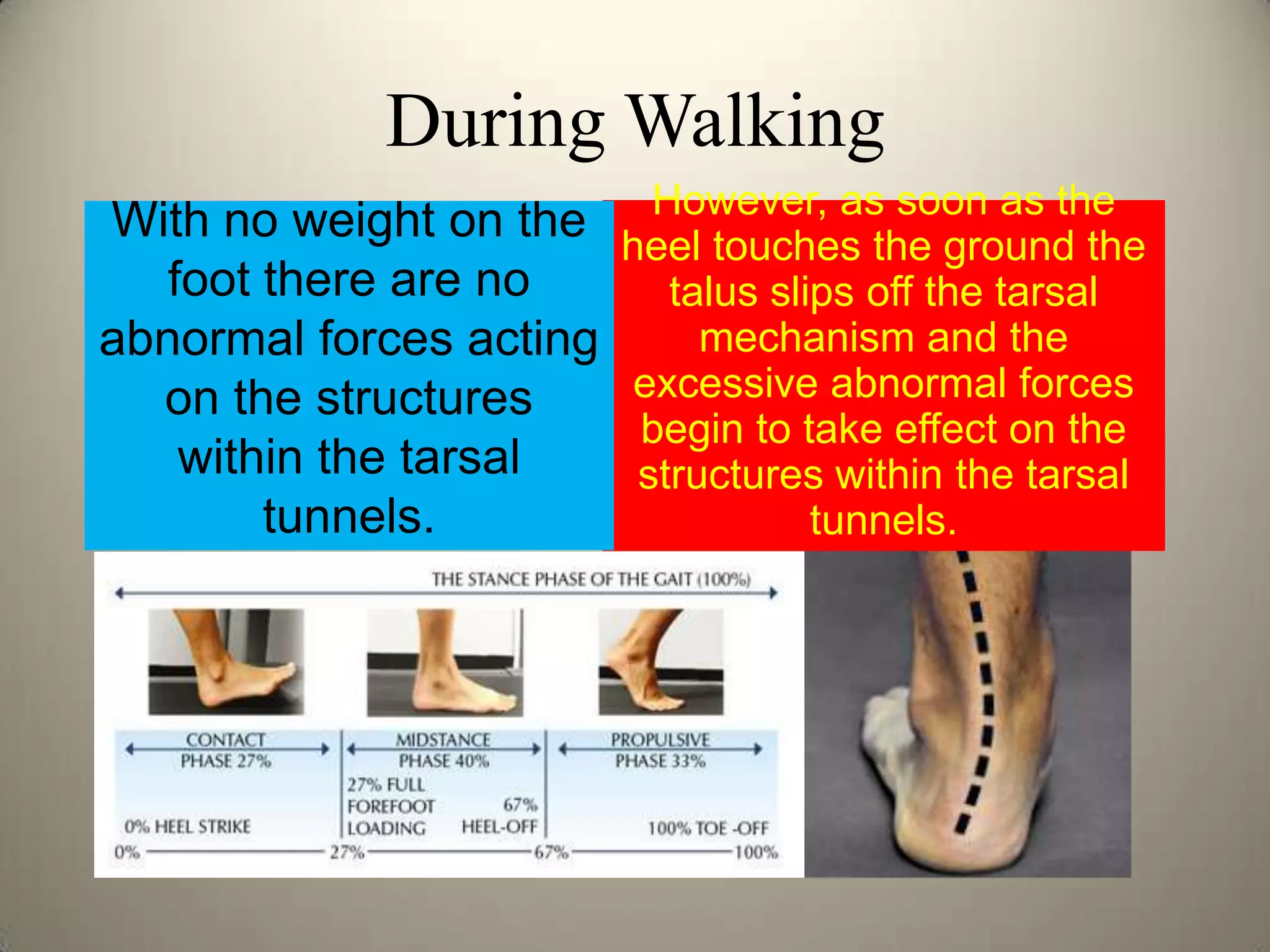 Peripheral Nerve Compression - Neuropathy | PPT