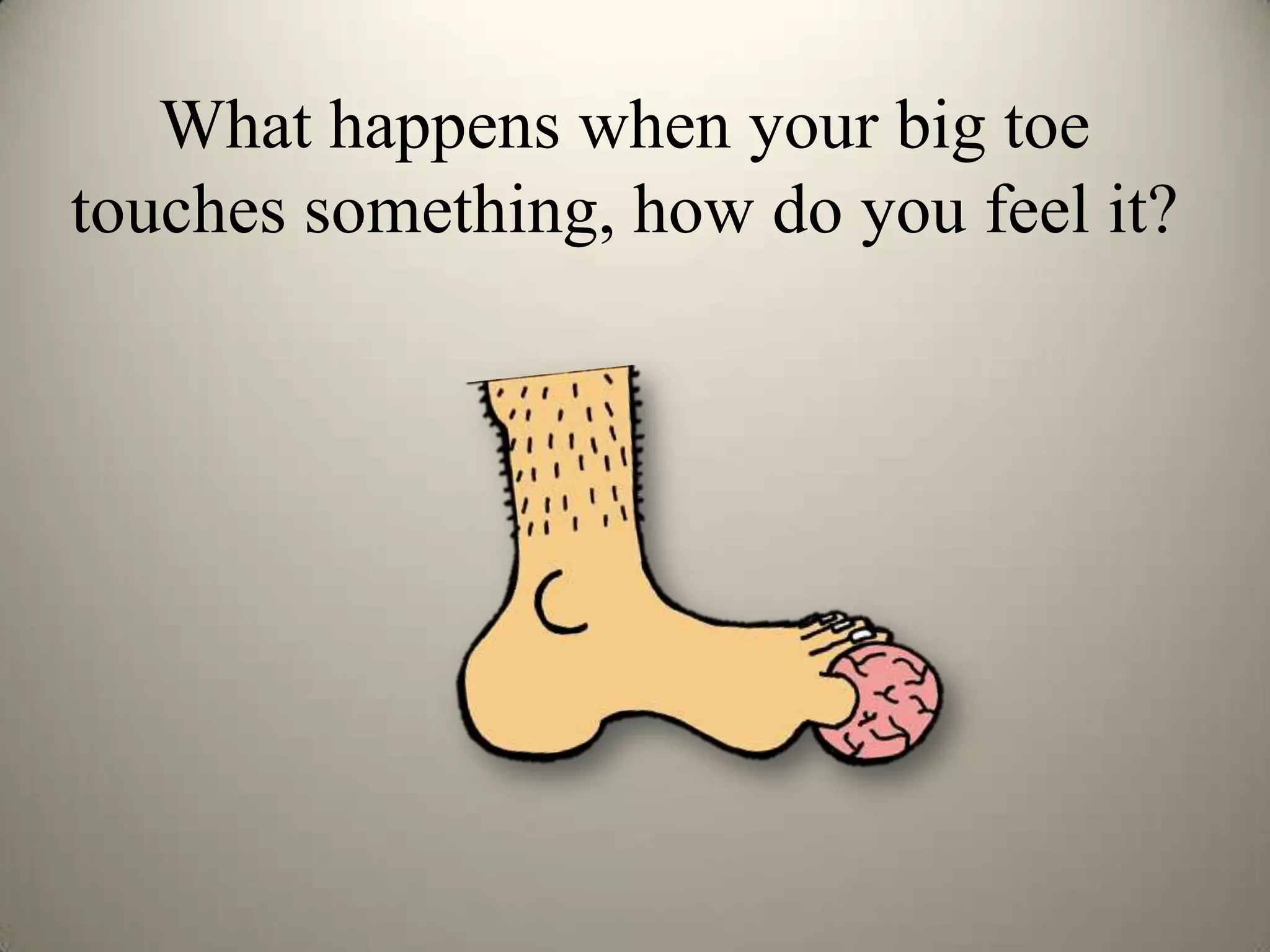 Peripheral Nerve Compression - Neuropathy | PPT