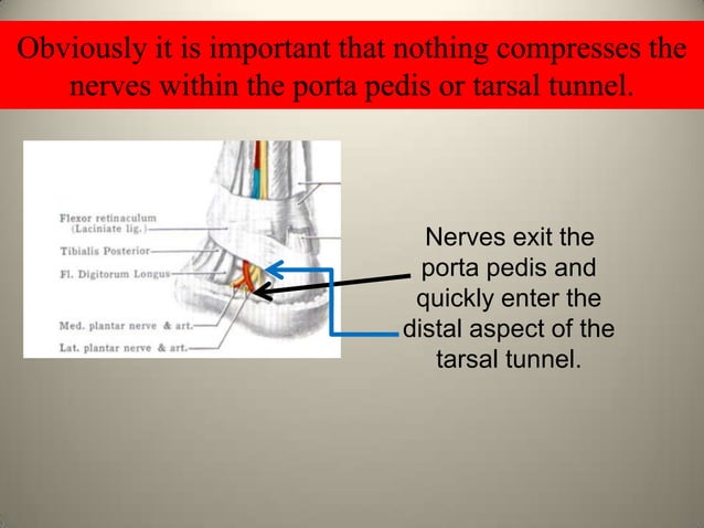 Peripheral Nerve Compression - Neuropathy | PPT