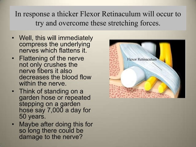 Peripheral Nerve Compression - Neuropathy | PPT