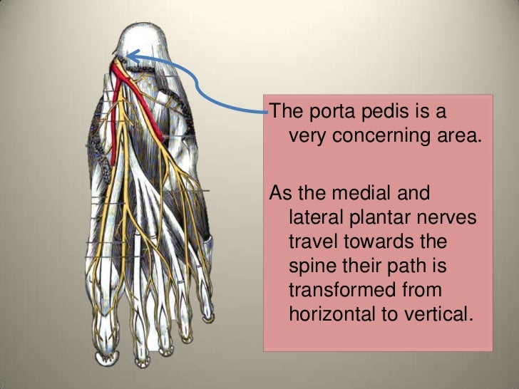Peripheral Nerve Compression - Neuropathy