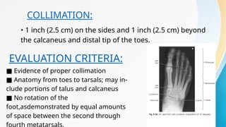 Foot Anatomy, Nerve supply and muscles with action EDITED.pptx