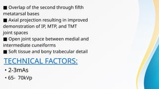 Foot Anatomy, Nerve supply and muscles with action EDITED.pptx