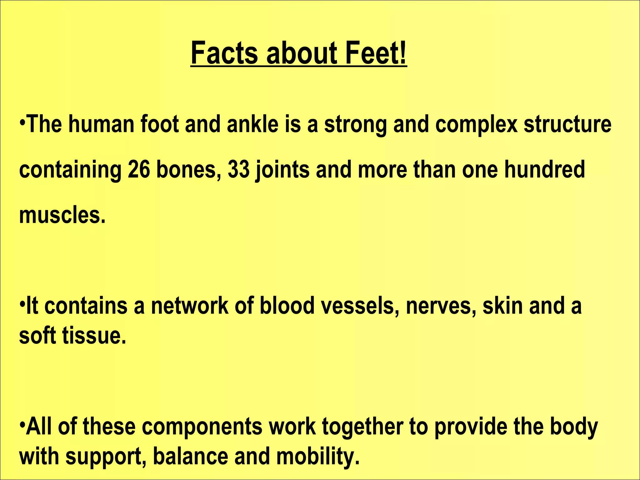 Foot Presentation | PPT