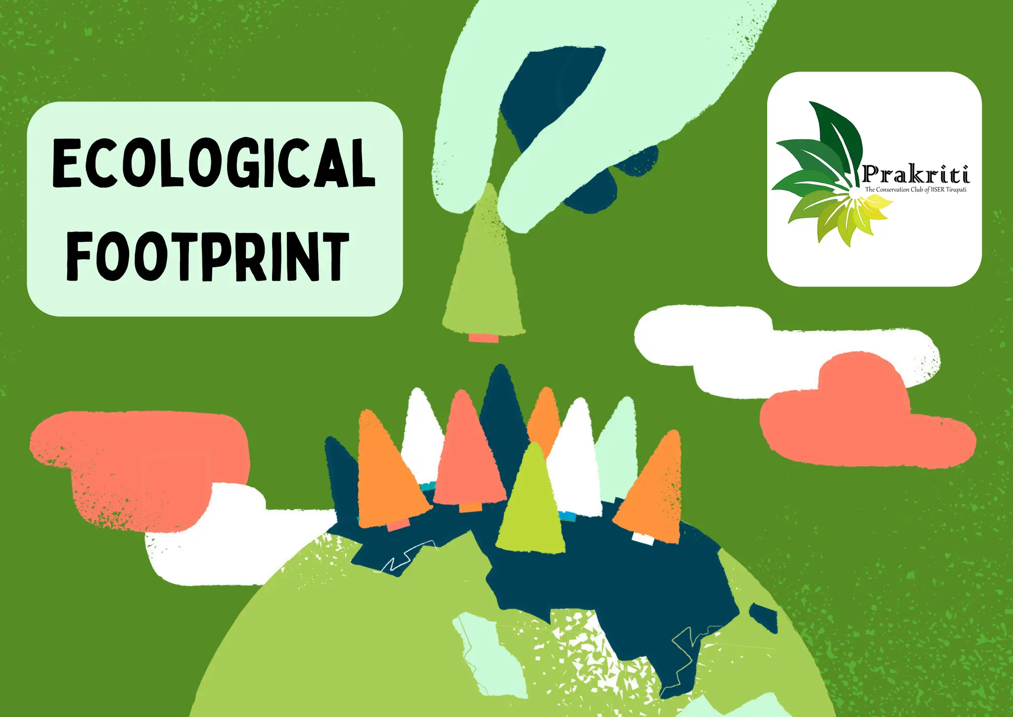Calculate Your Ecological Footprint - For School Going Students | PDF