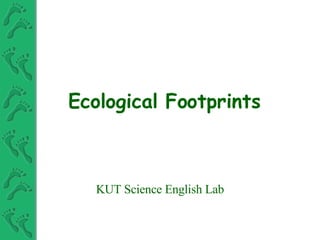 footprint33.ppt