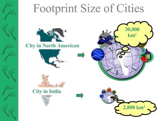 footprint33.ppt