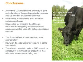 Dynamic LCA model for estimating environmental effects of Finnish beef ...
