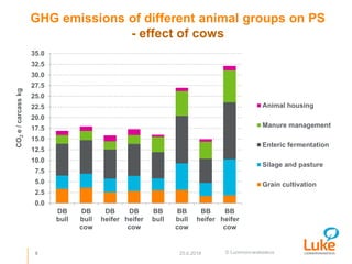 Dynamic LCA model for estimating environmental effects of Finnish beef ...
