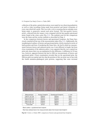 Footprint case study | PDF