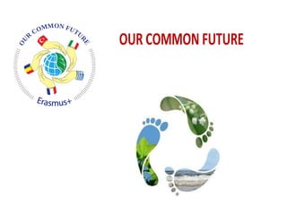 School ecological Footprint | PDF