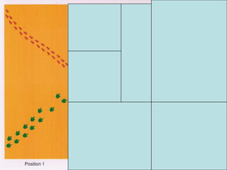 Footprint observation and inference | PPT | Science