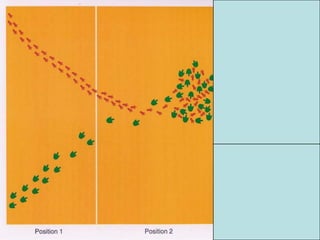 Footprint observation and inference | PPT | Science