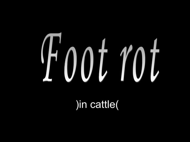 Foot rot | PPS | Foot Health | Diseases and Conditions