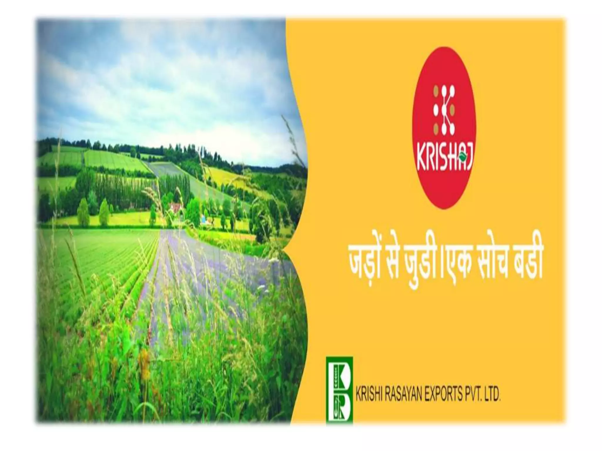 Foot rot or bakanae disease of rice | PPTX