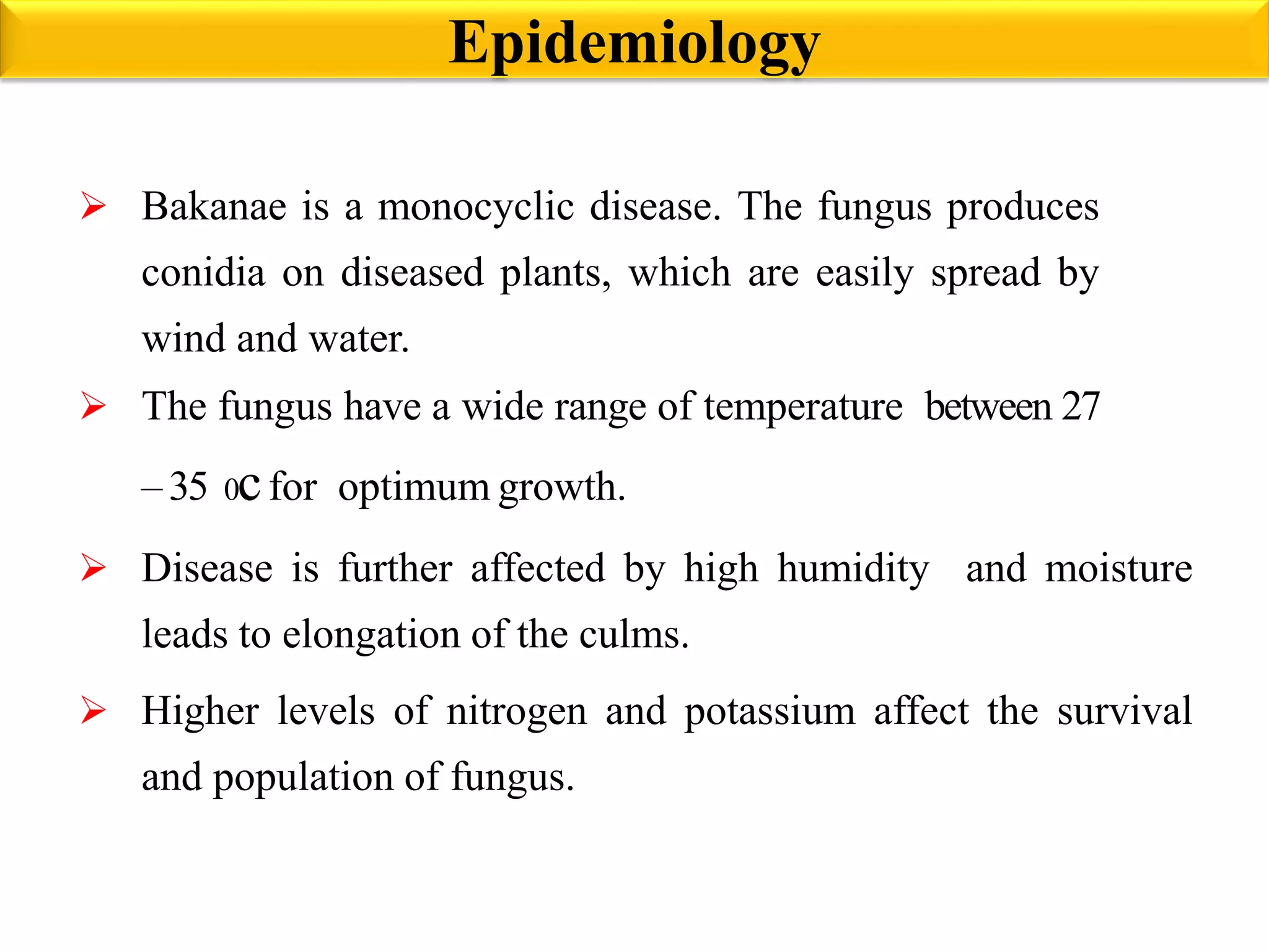 Foot rot or bakanae disease of rice | PPTX