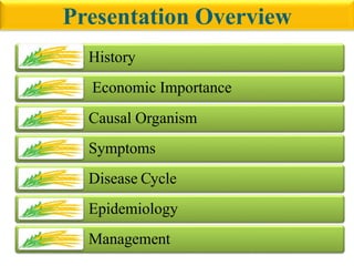 Foot rot or bakanae disease of rice | PPTX