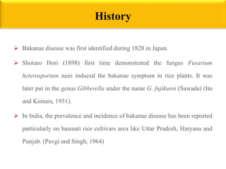 Foot rot or bakanae disease of rice | PPTX