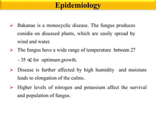 Foot rot or bakanae disease of rice | PPTX