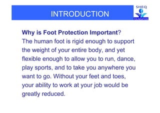 Foot Safety | PDF